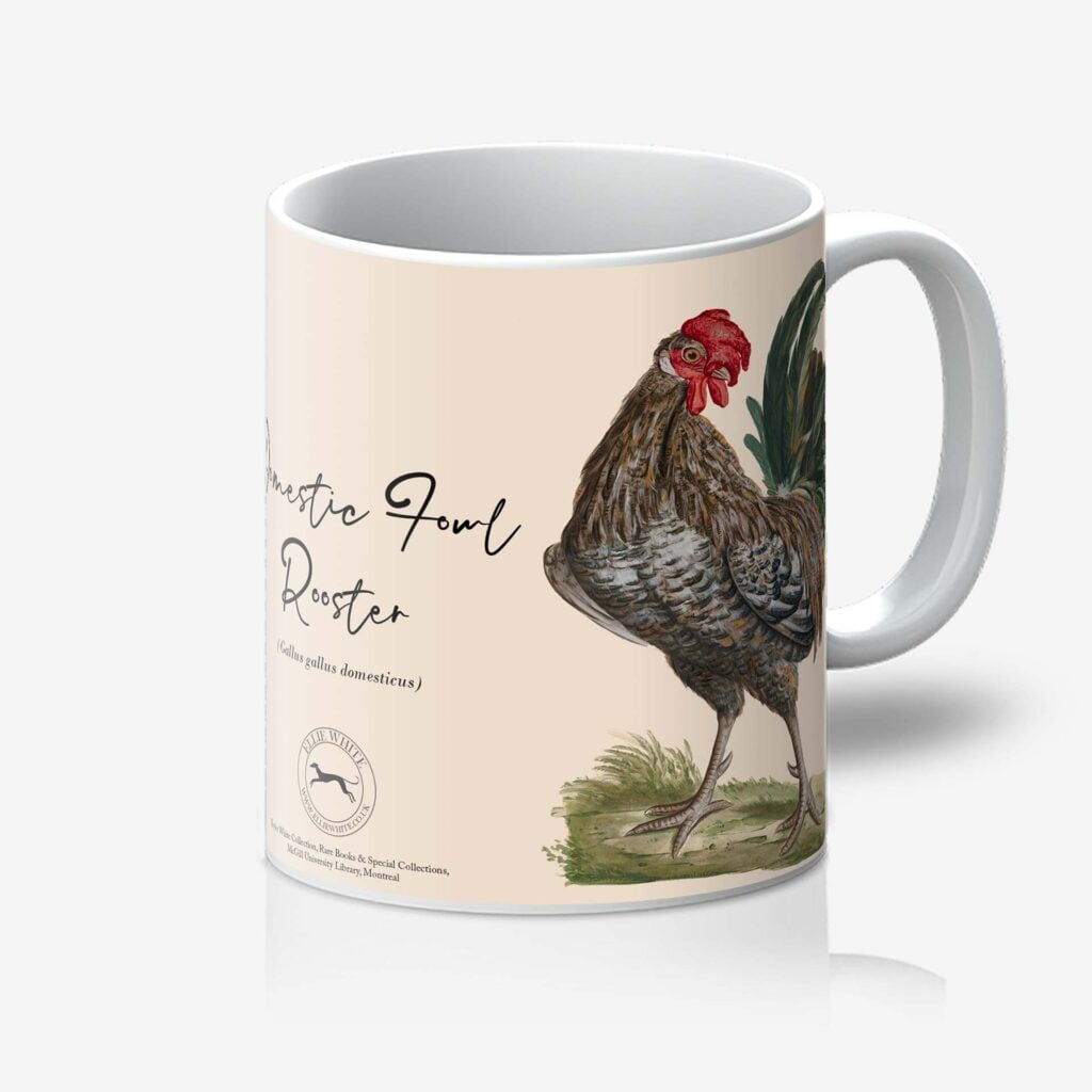 Ceramic Rooster Mug | Cock Mug | Chicken Mug | Ellie White