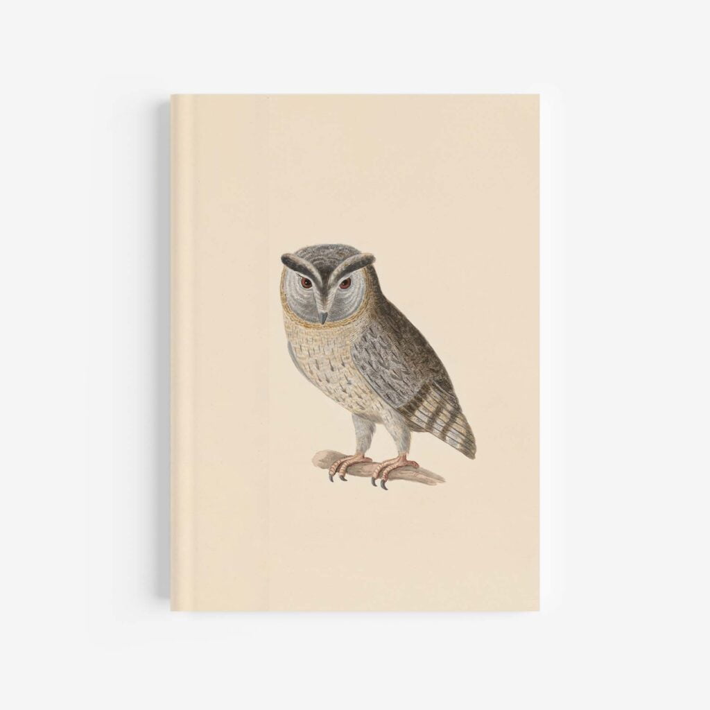 Owl Journal / Notebook - A4 - Plain / Ruled Paper
