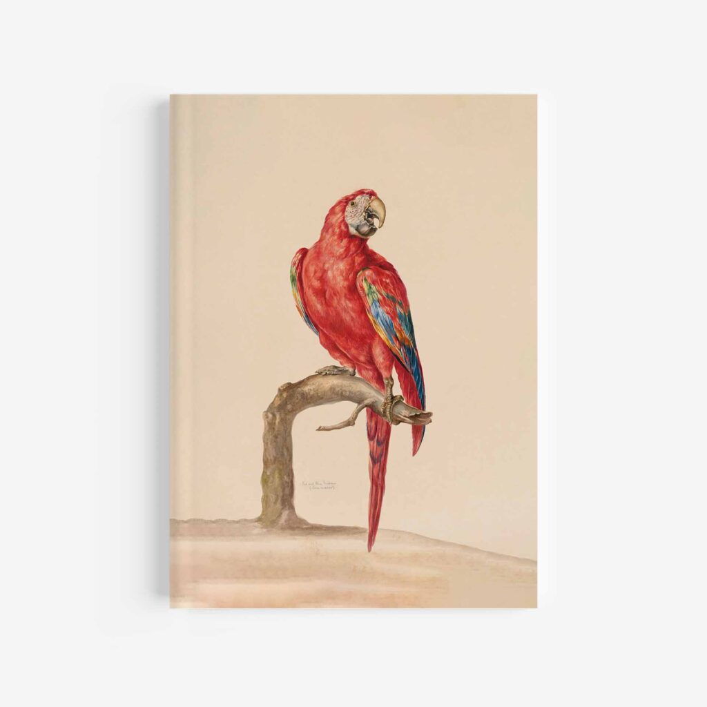 Red & Blue Macaw Journal / Notebook - Plain / Ruled Paper