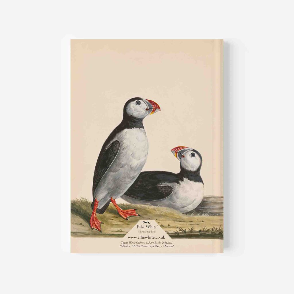 Puffin Journal / Notebook - Plain / Ruled Paper