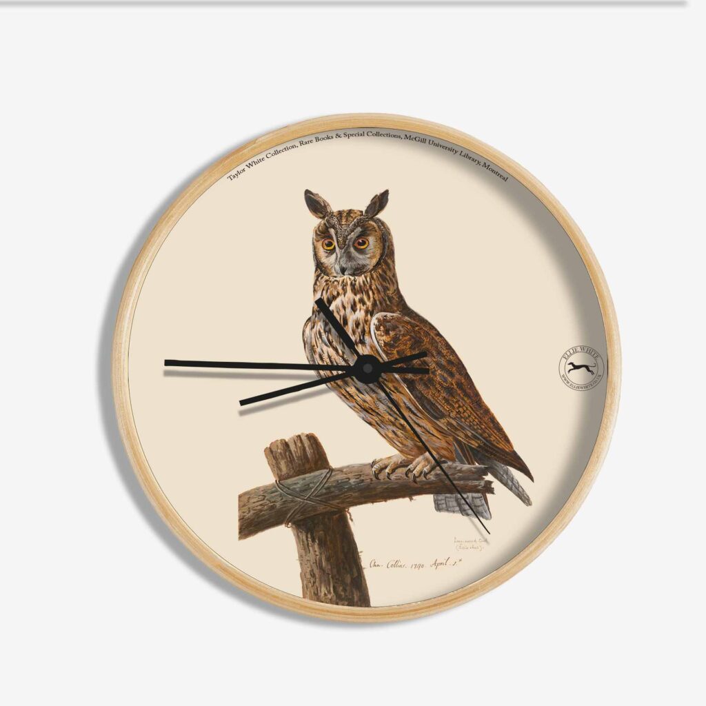 Long Eared Owl Wall Clock | 10in X 10in Round | Ellie White